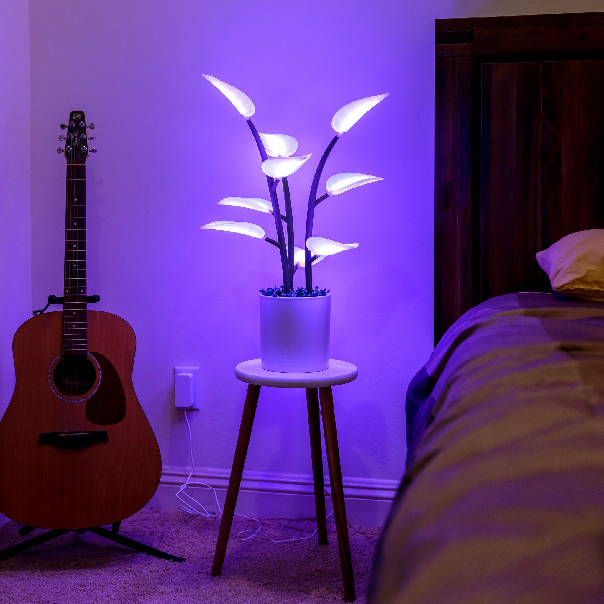 Fluora Mini | Fluora