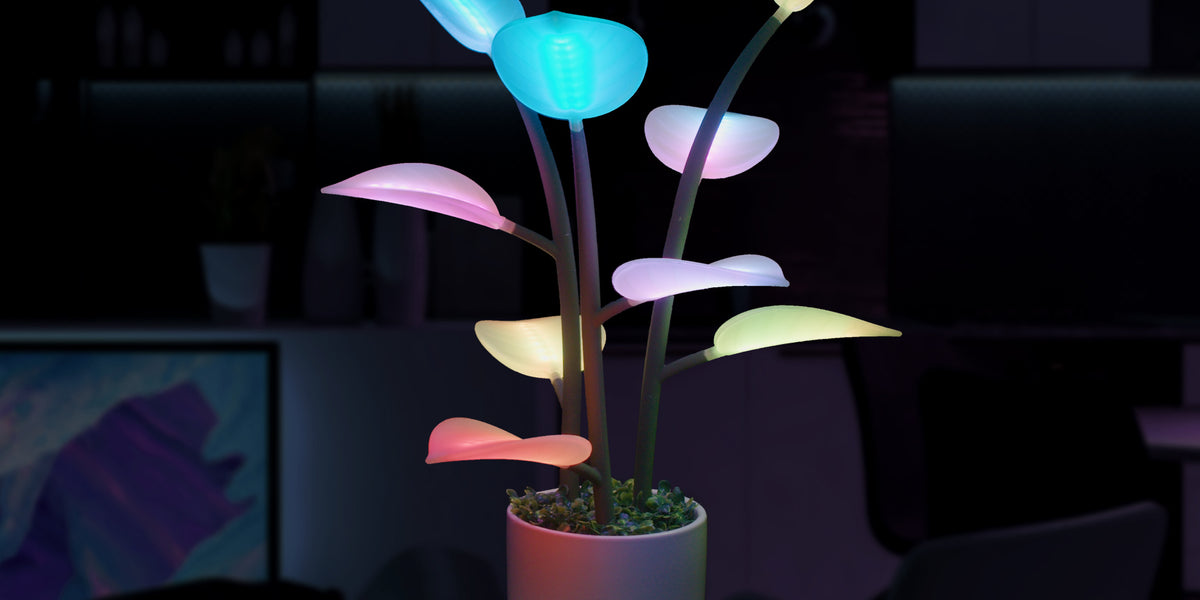 Fluora Mini | Fluora