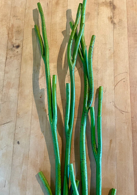 Replacement Parts | Fluora